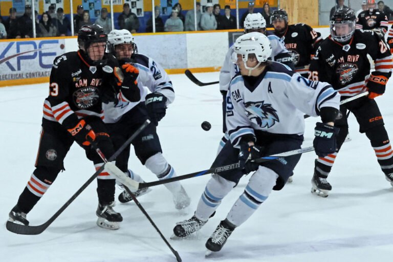 Official site of the Dryden GM Ice Dogs